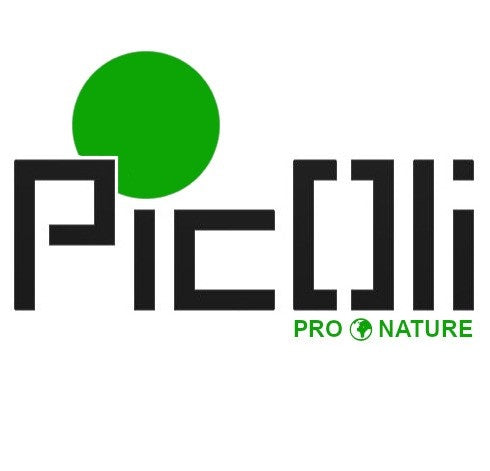 PicOli Edelstahl Lotuseffekt Gaskocher Grill-Aufsatz Grillrost Holzkoh ...